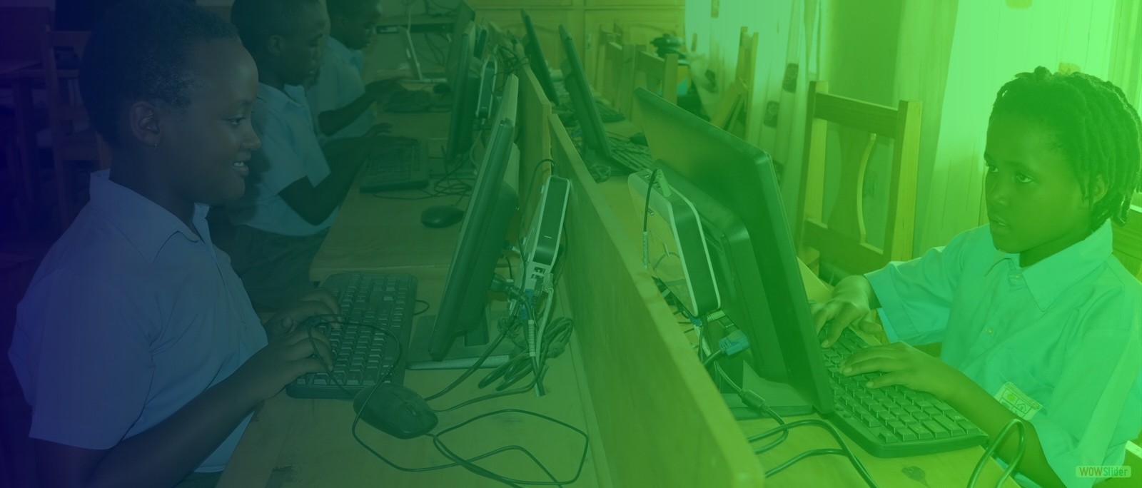 E-learning FOHA: All courses